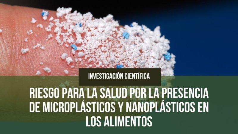 Riesgo para la salud por la presencia de microplásticos y nanoplásticos ...